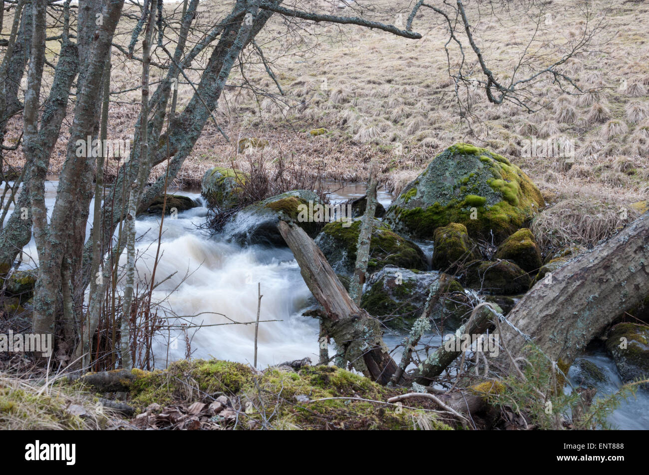 Winter melt water in little river Stock Photo - Alamy