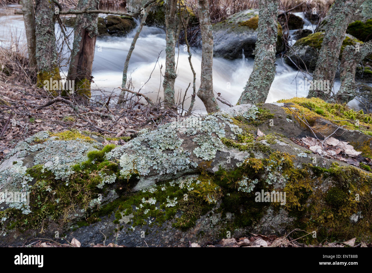 Spring in Finland Stock Photo - Alamy