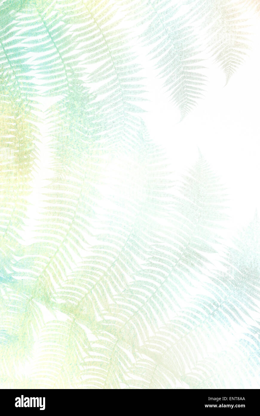 turquoise palm leaves Stock Photo - Alamy