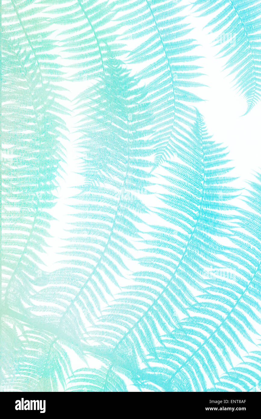 turquoise palm leaves Stock Photo - Alamy