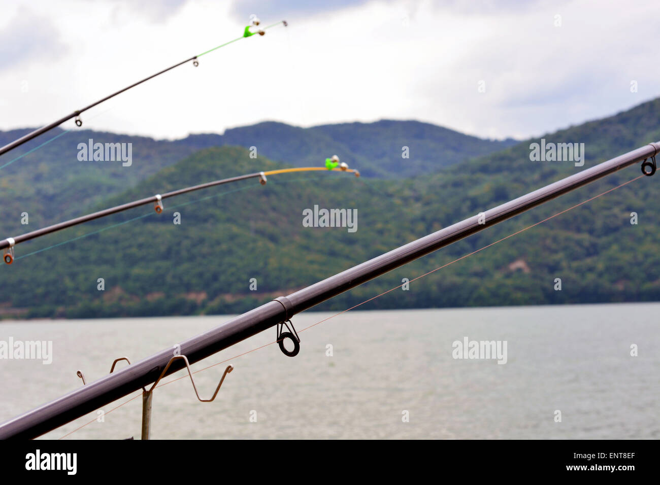 Line for rods hi-res stock photography and images - Alamy