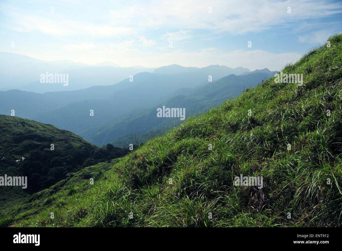 Thick slanting hi-res stock photography and images - Alamy