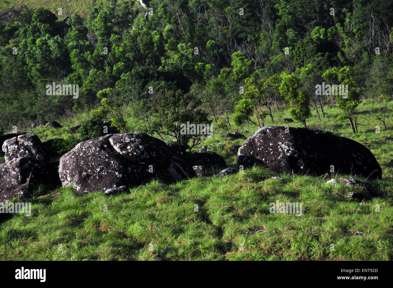 Kerala ground hi-res stock photography and images - Alamy