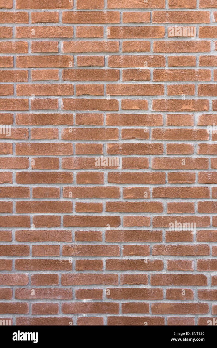 Front view of a wall with bricks arranged in a regular mode Stock Photo ...