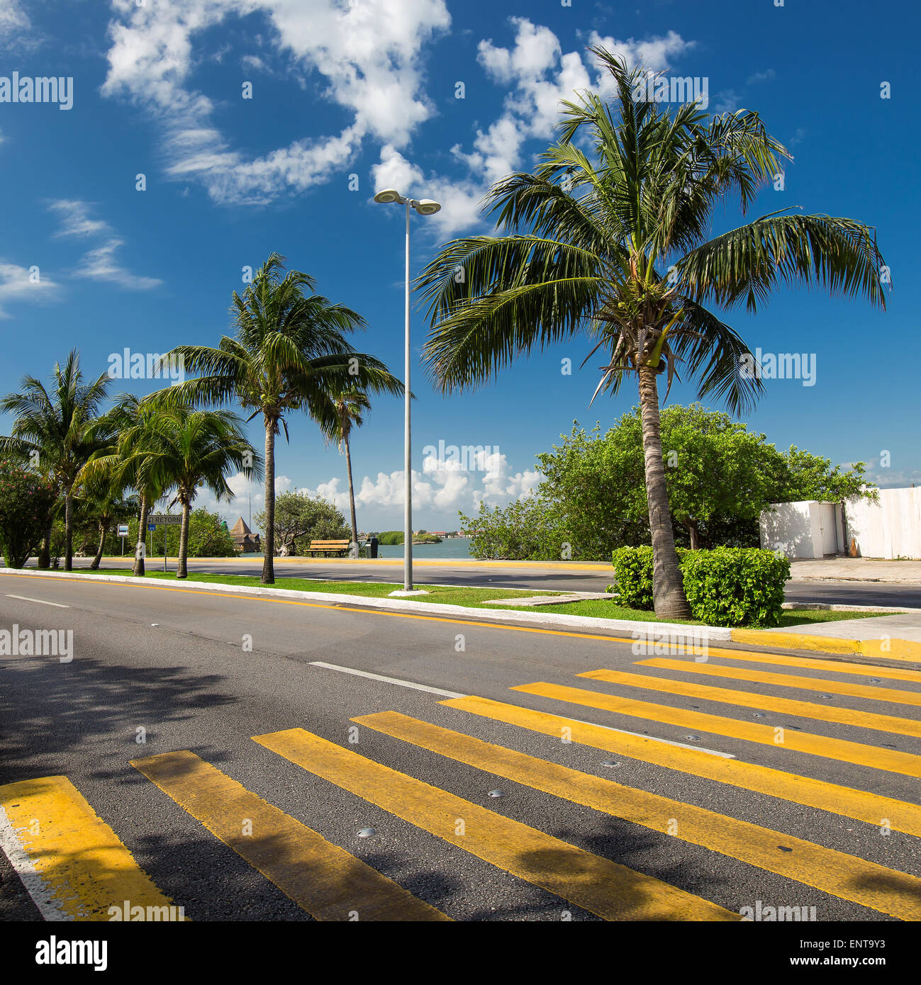 Pedestrian crossing the street hi-res stock photography and images - Alamy