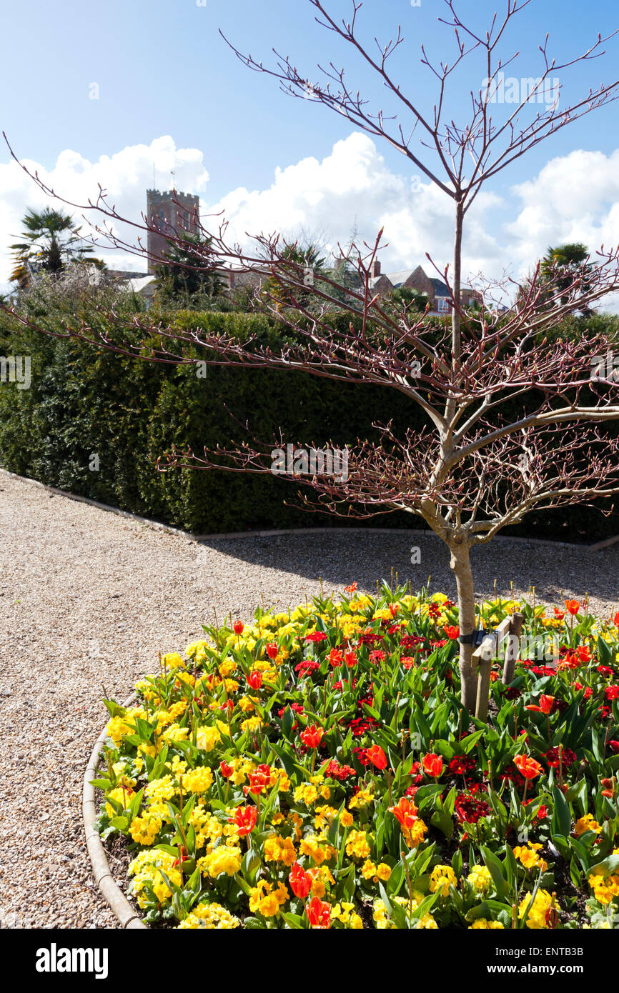 Springtime at the Walled Gardens of Cannington, Somerset UK Stock Photo ...