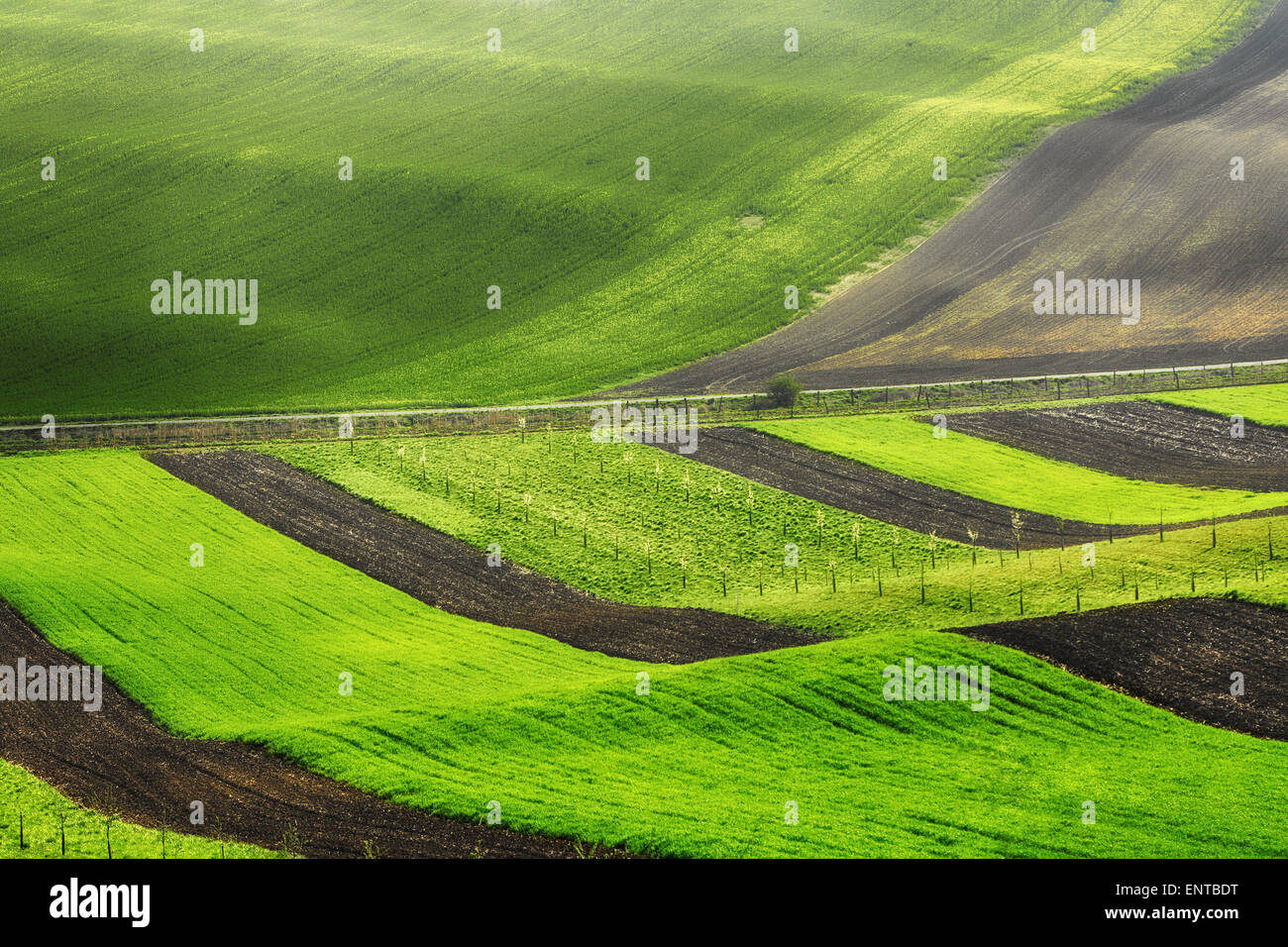 Lines and waves fields Stock Photo - Alamy