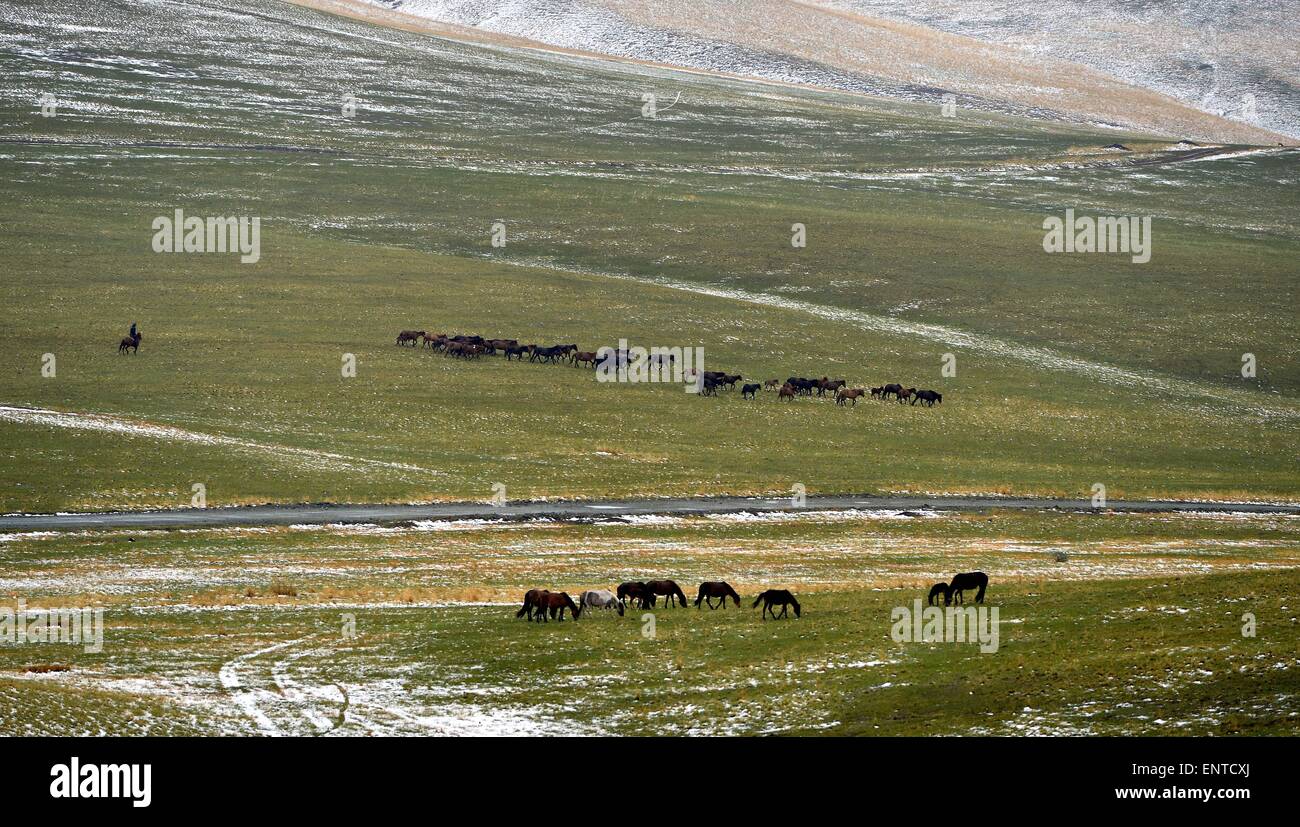 Hohhot, China's Inner Mongolia Autonomous Region. 11th May, 2015 ...