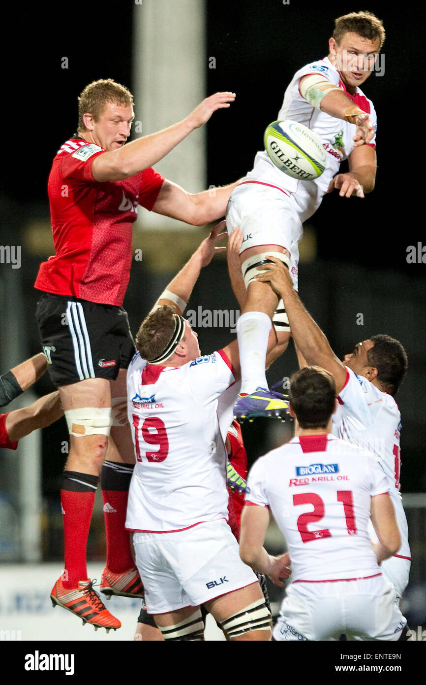 Dominic bird hi-res stock photography and images - Alamy