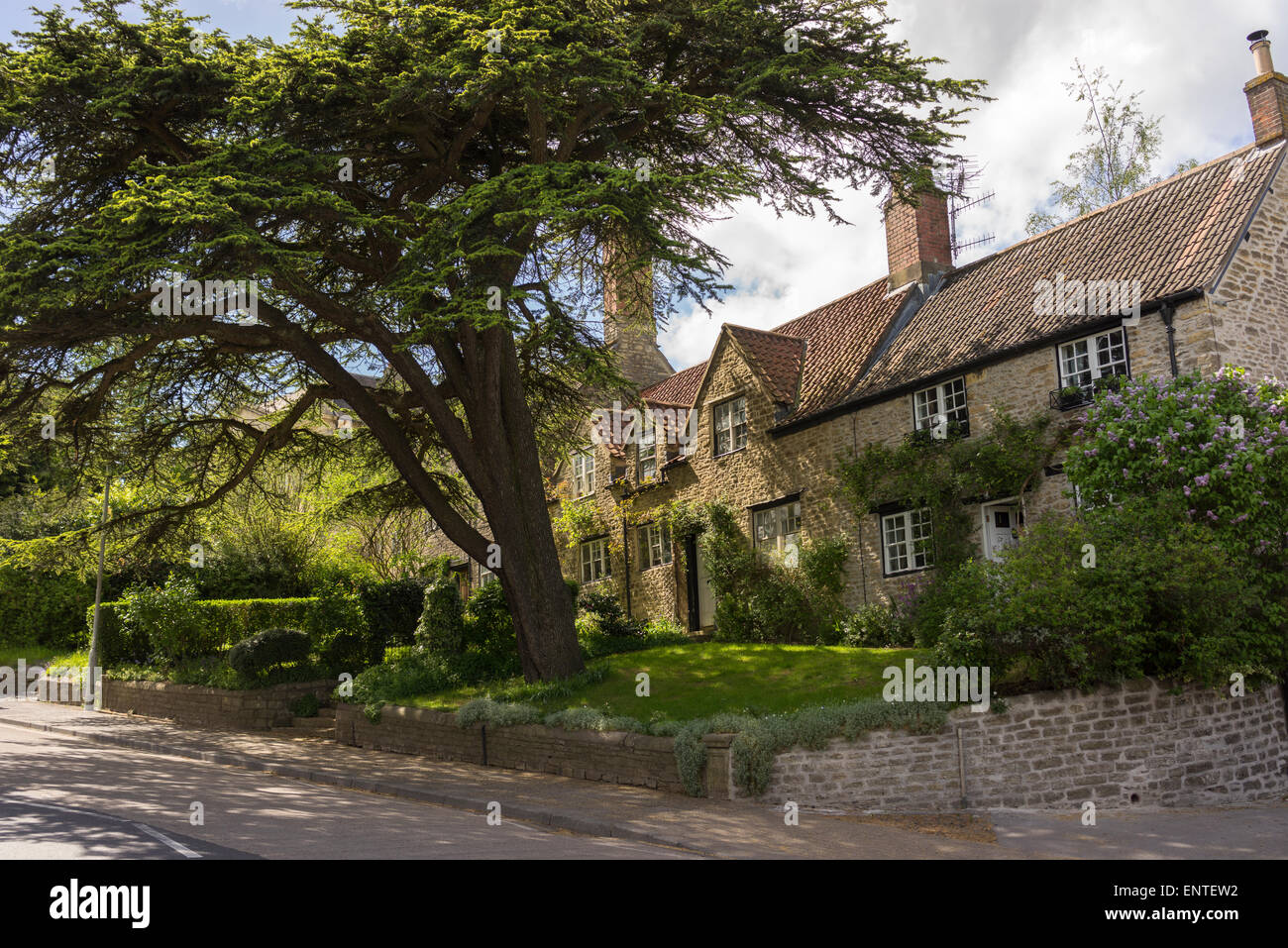 Houses in Bath Street, Frome in Somerset, England Stock Photo - Alamy