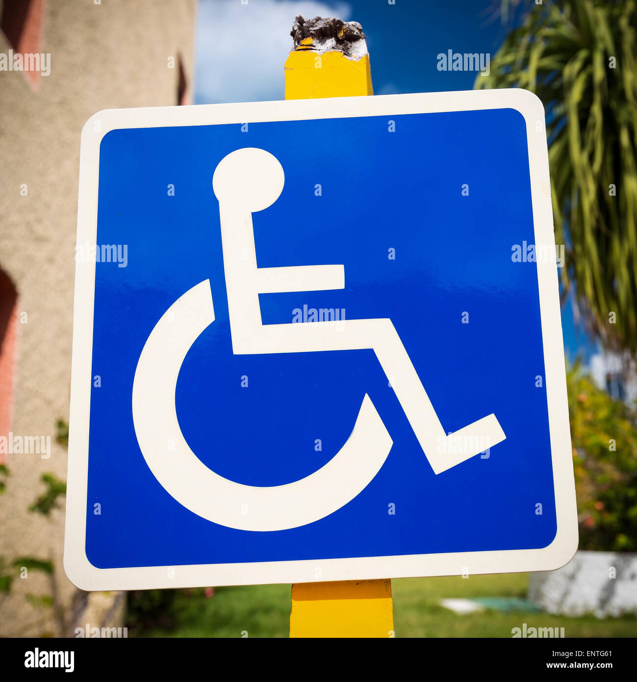 Blue handicapped sign with wheelchair, outdoors Stock Photo - Alamy