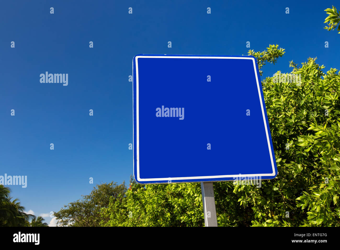 Empty blue road sign. Tropical street Stock Photo - Alamy