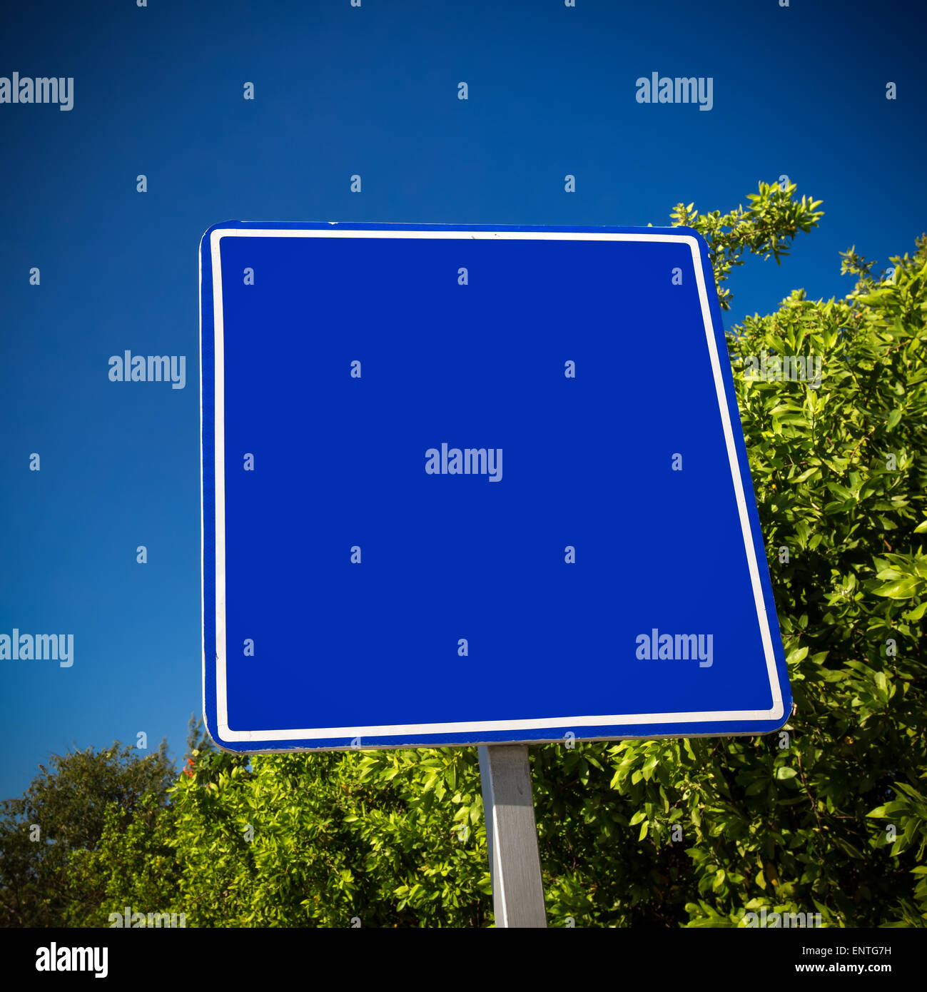 Empty blue road sign. Tropical street Stock Photo - Alamy