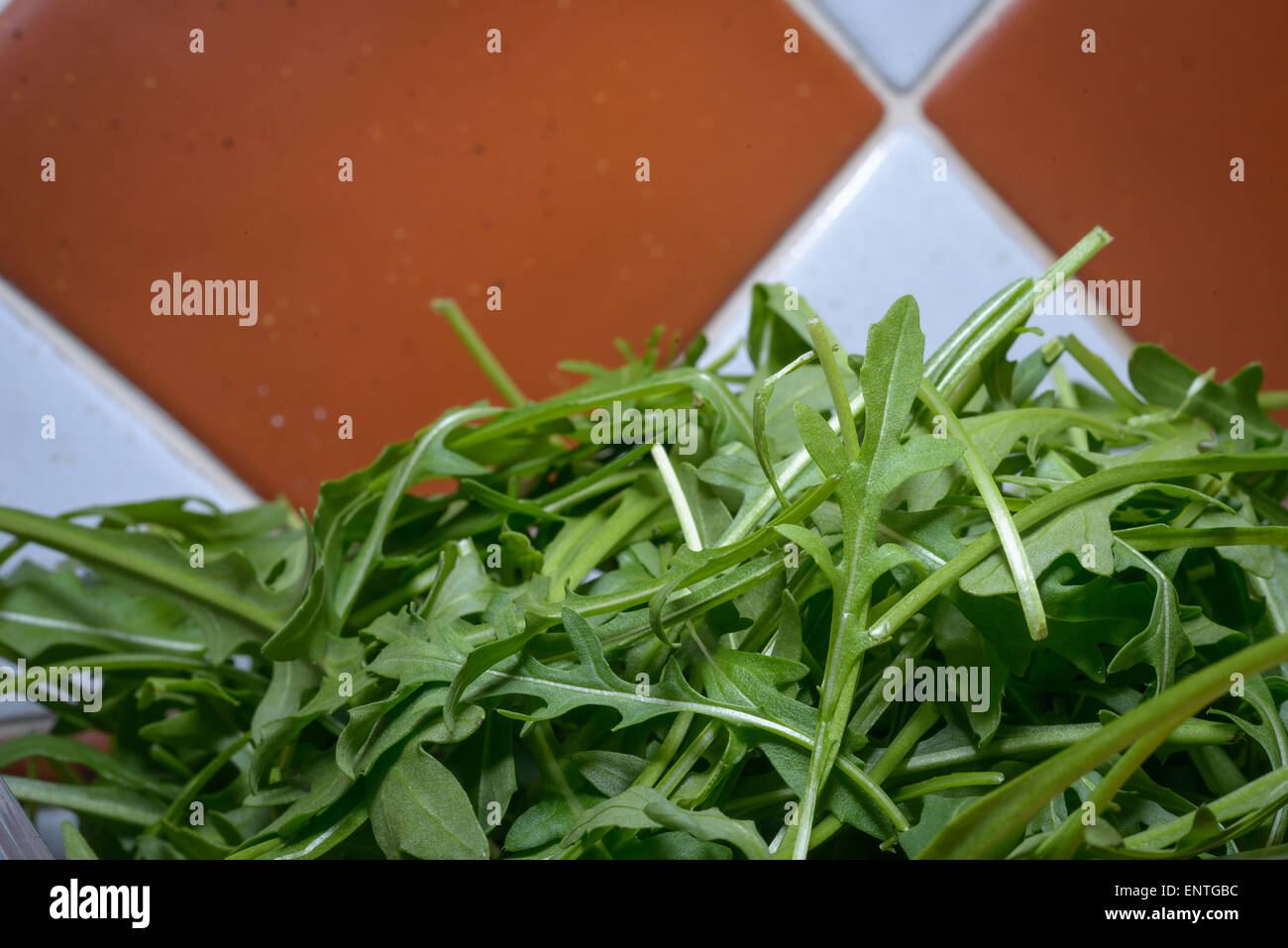 Rucola vegetable, nice to find it in a fresh salad Stock Photo - Alamy