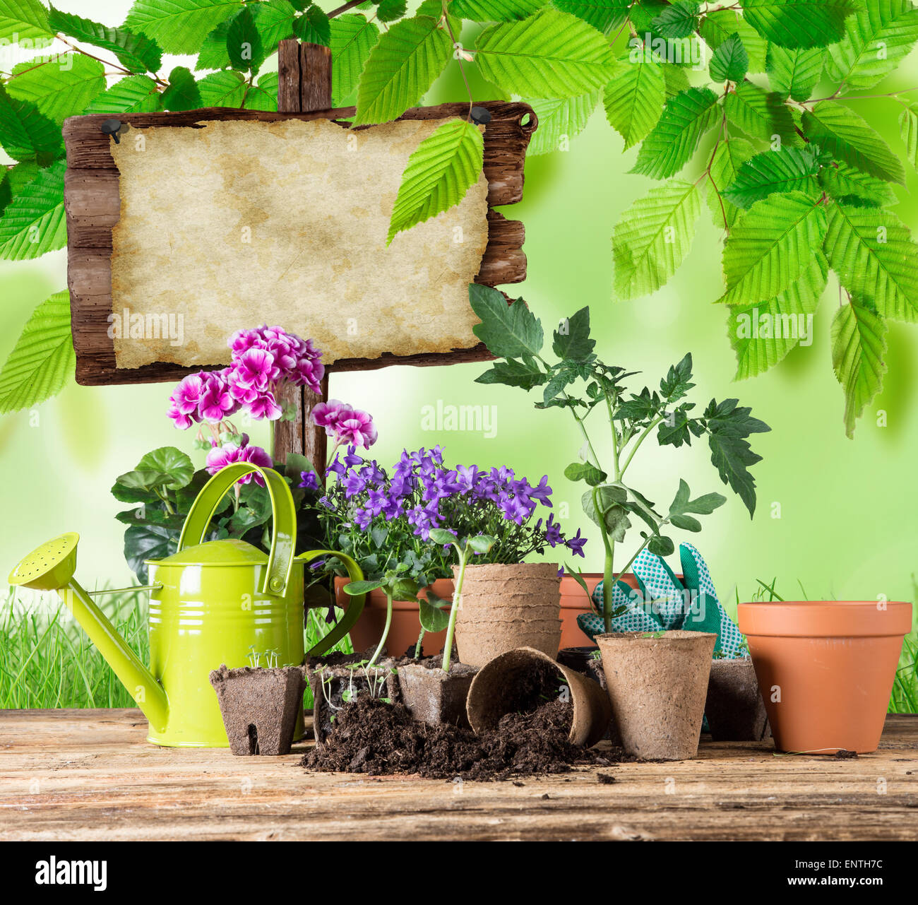 Outdoor gardening tools, plants and can, close-up Stock Photo - Alamy