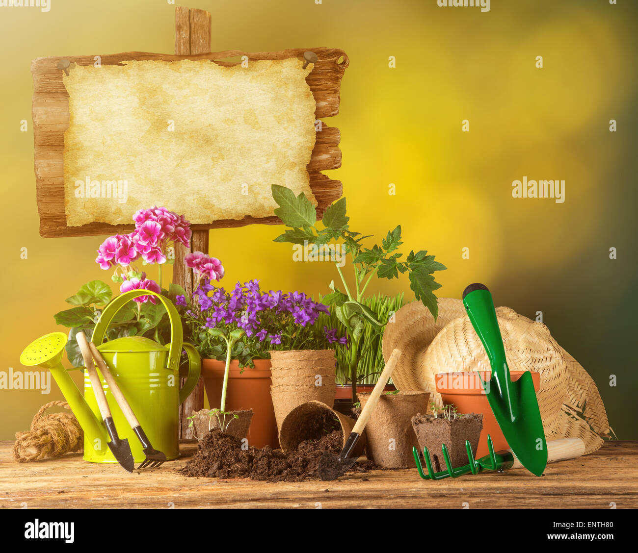 Outdoor gardening tools, plants and can, close-up Stock Photo - Alamy