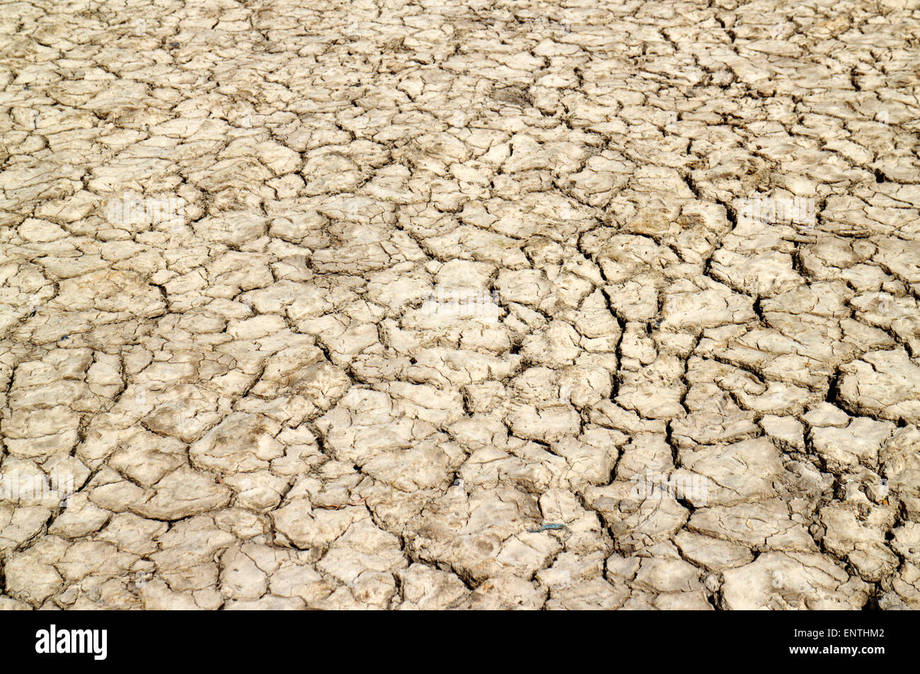 A view of dried and cracked mud on an East Anglian salt marsh Stock ...