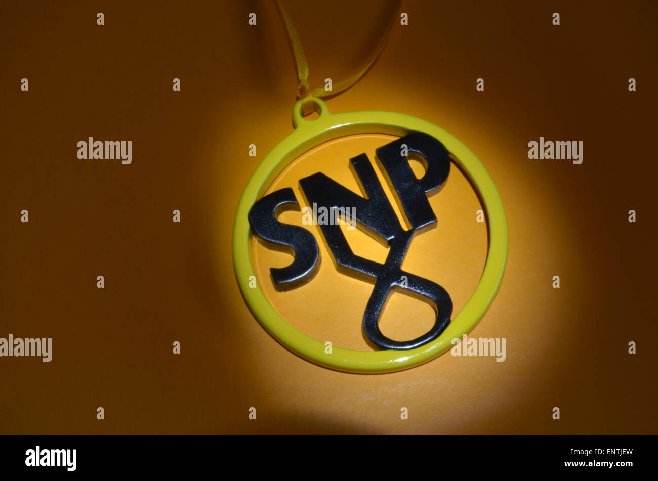 Snp logo hi-res stock photography and images - Alamy