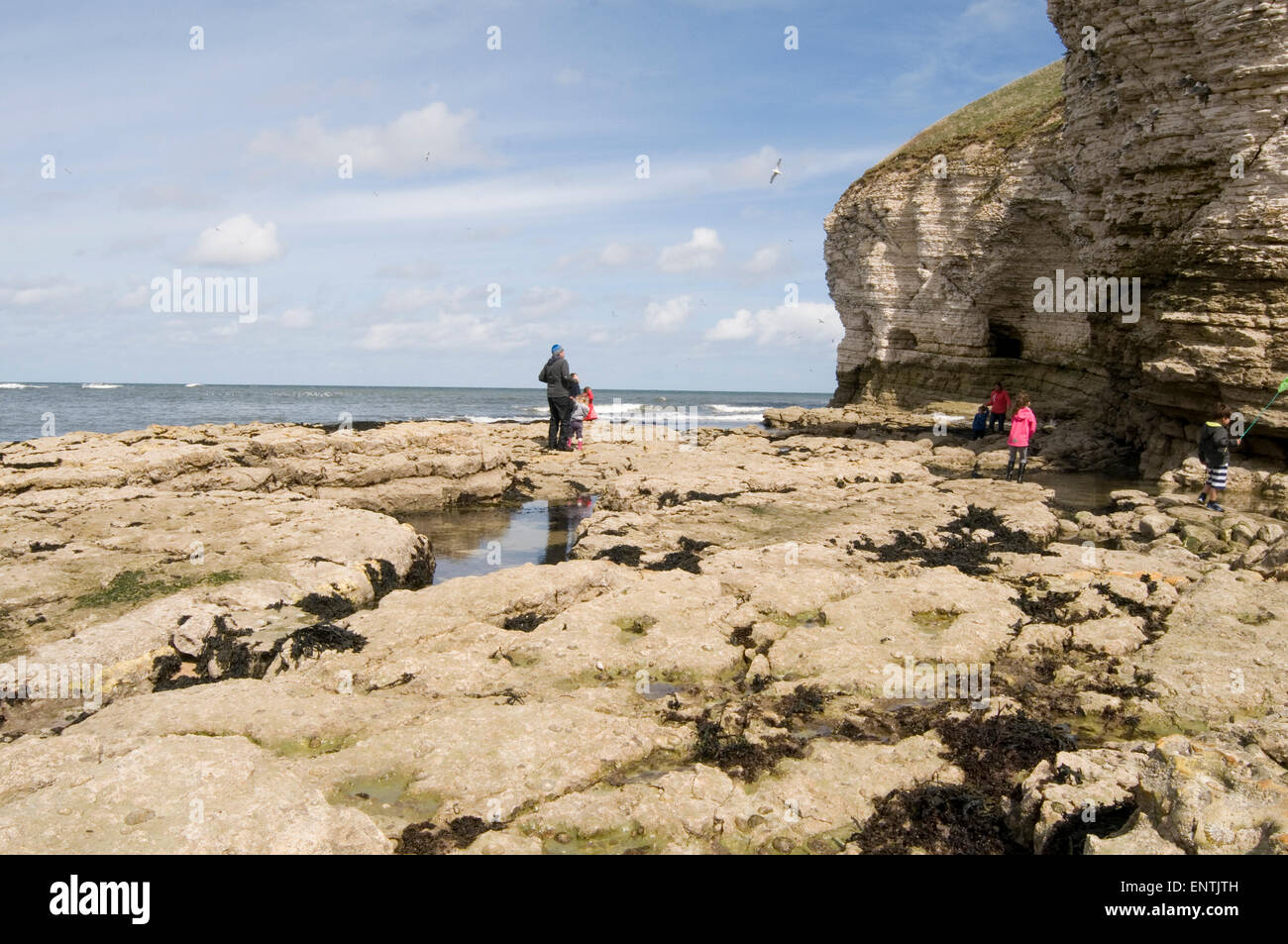 rock pool pools rockpool rockpools plating in on rocks seaside kids kid ...