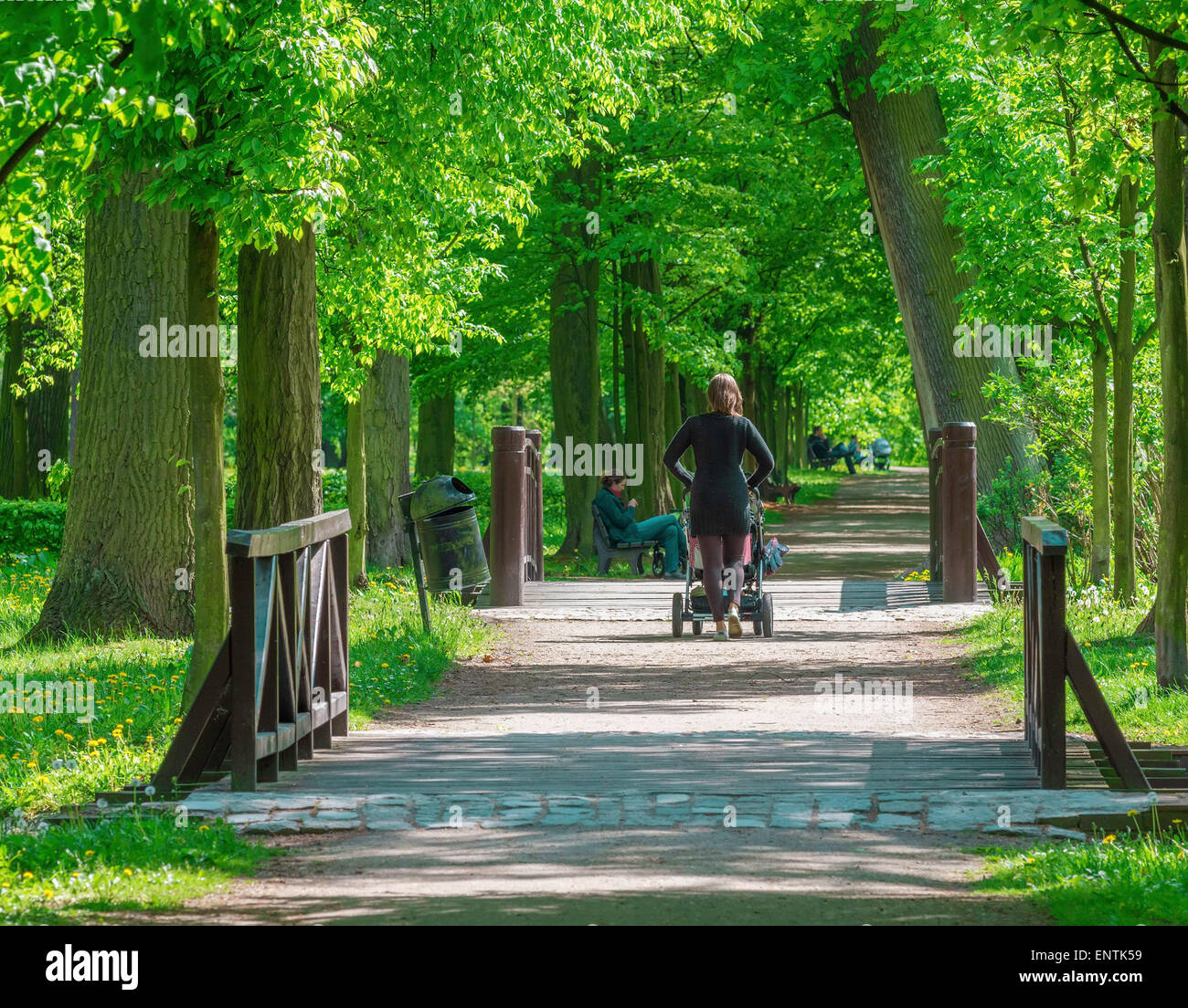 mother pushing baby stroller Stock Photo - Alamy