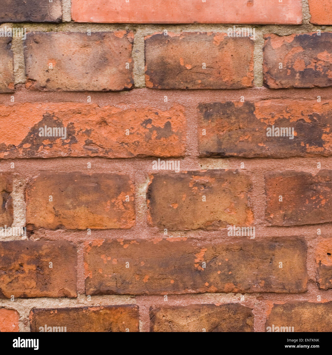 Brick wall surface Stock Photo - Alamy