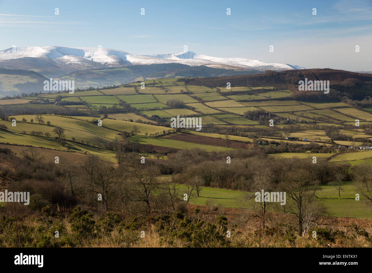 View to snow covered peak of Pen y Fan, near Bwlch, Brecon Beacons ...