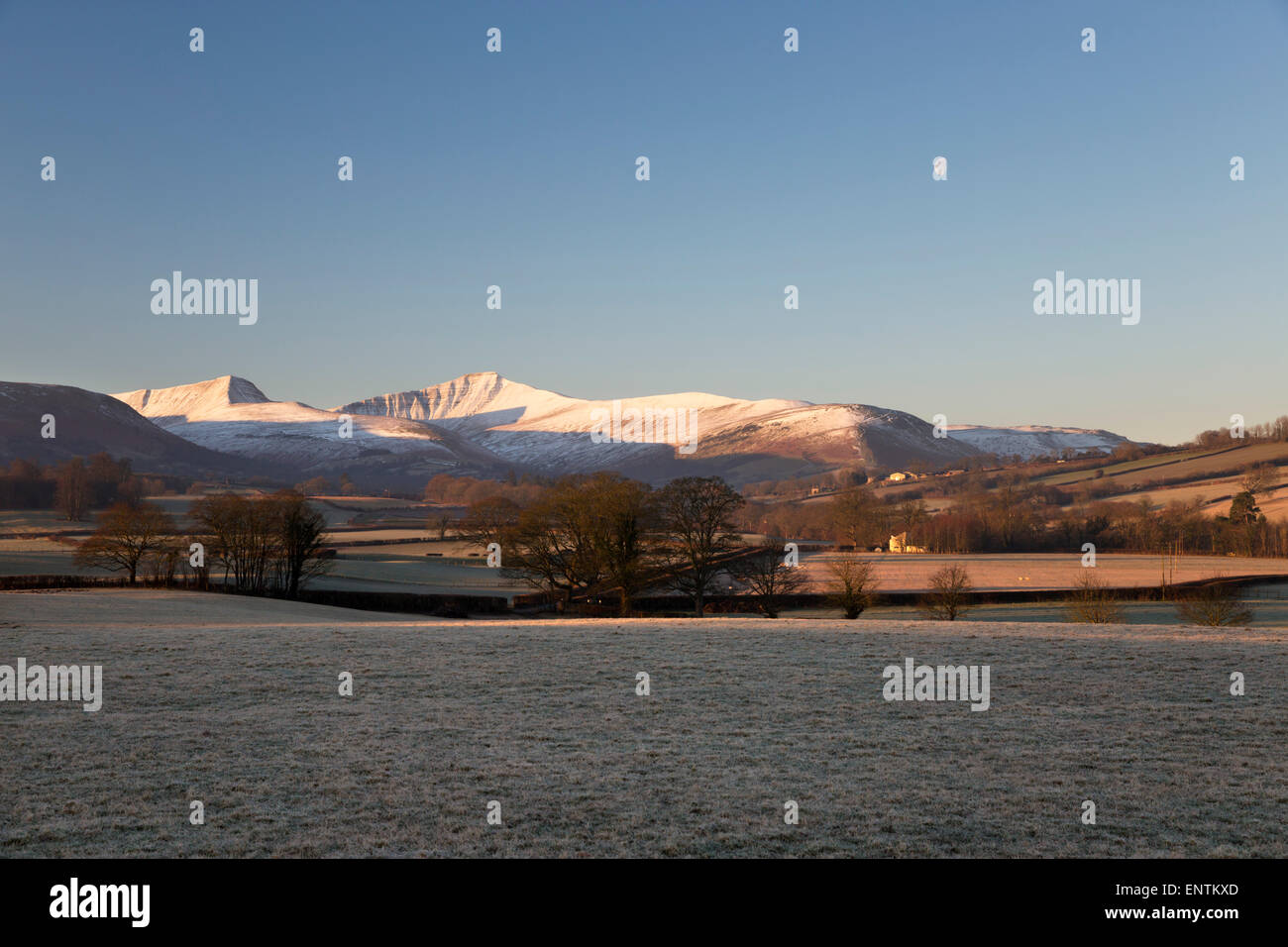 Snow covered peak of Pen y Fan in morning frost, Llanfrynach, Usk ...