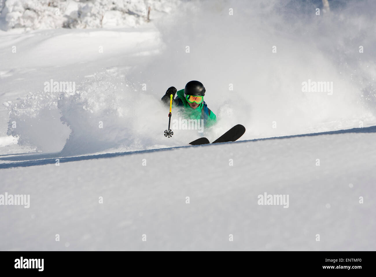A man skiing powder on a beauitful sunny day in Utah Stock Photo - Alamy