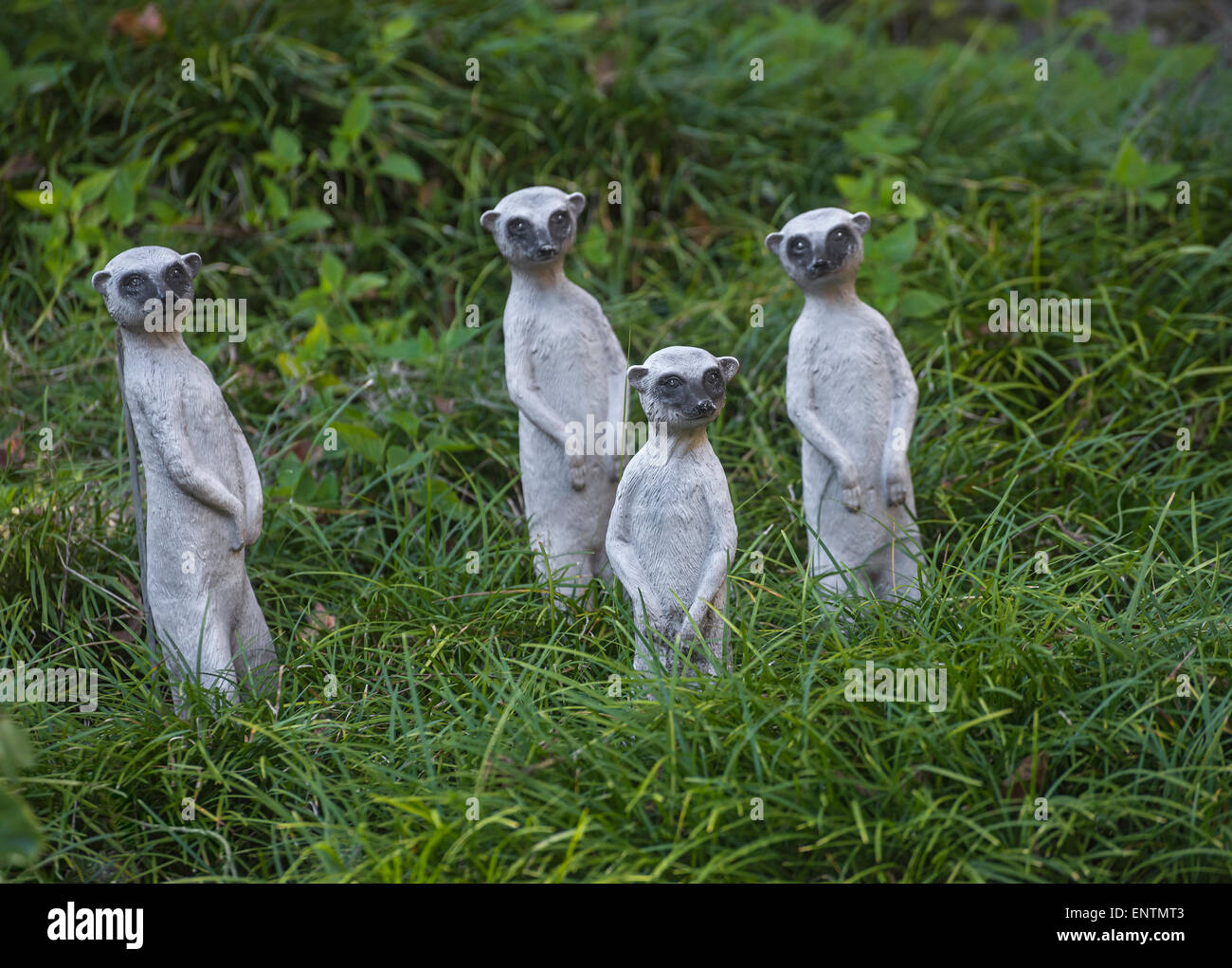 Lemur statues hi-res stock photography and images - Alamy