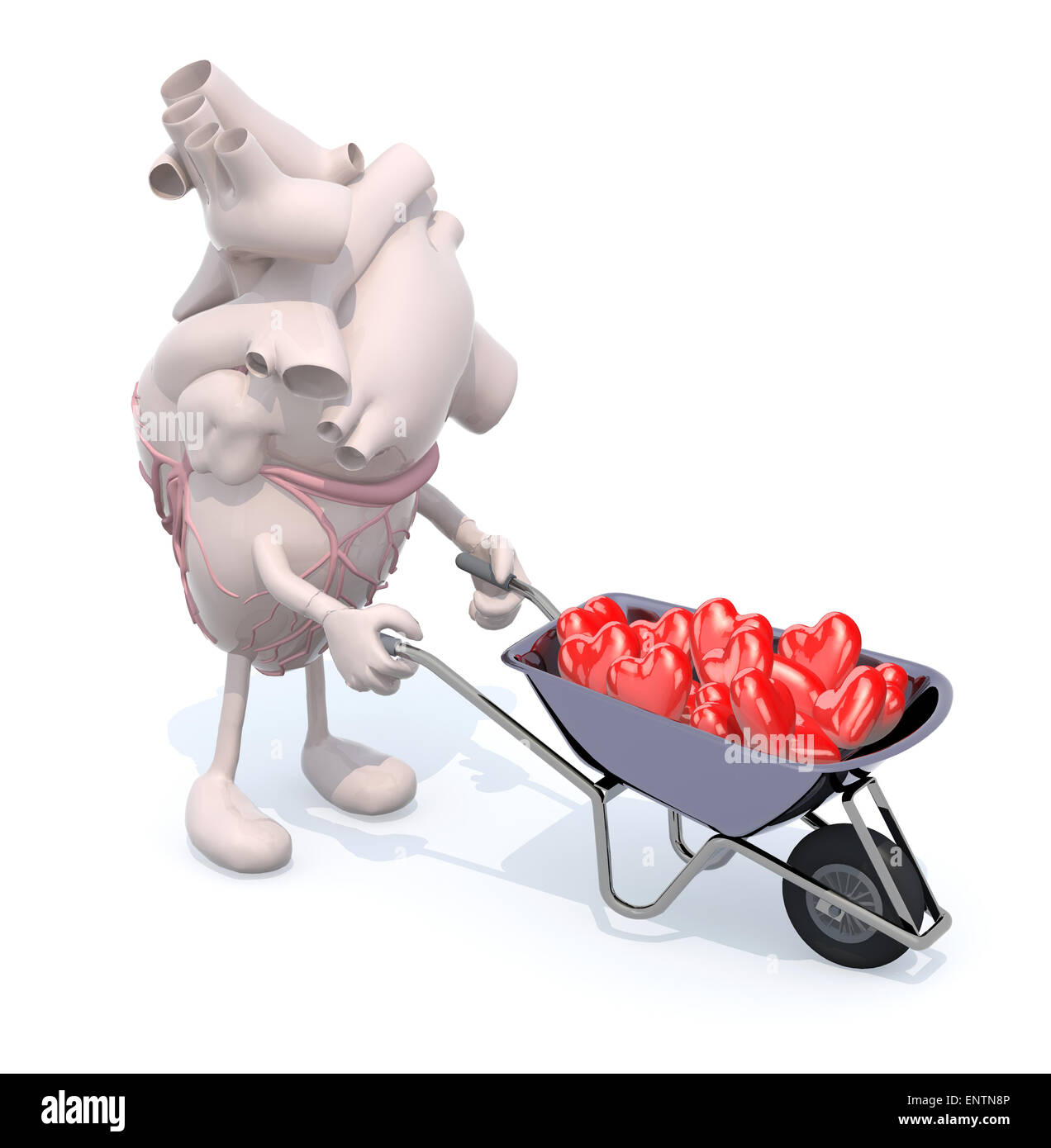 Wheelbarrow in construction Cut Out Stock Images & Pictures - Alamy
