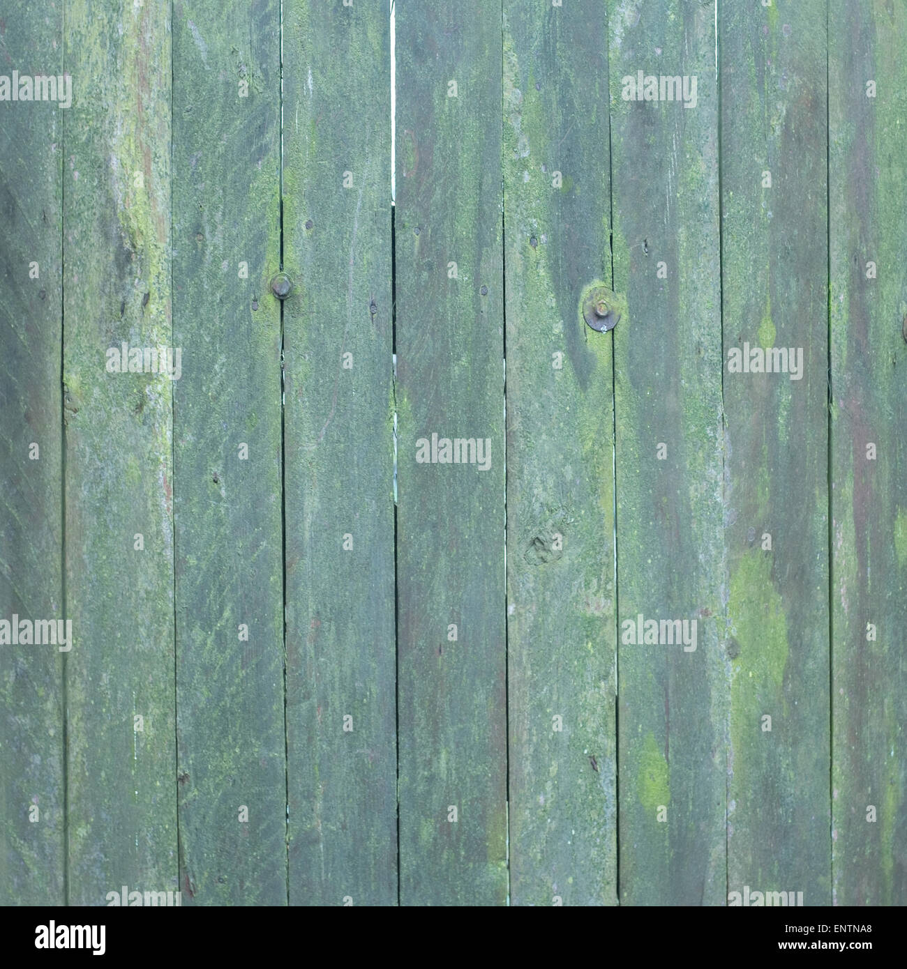 Green wood boards Stock Photo - Alamy