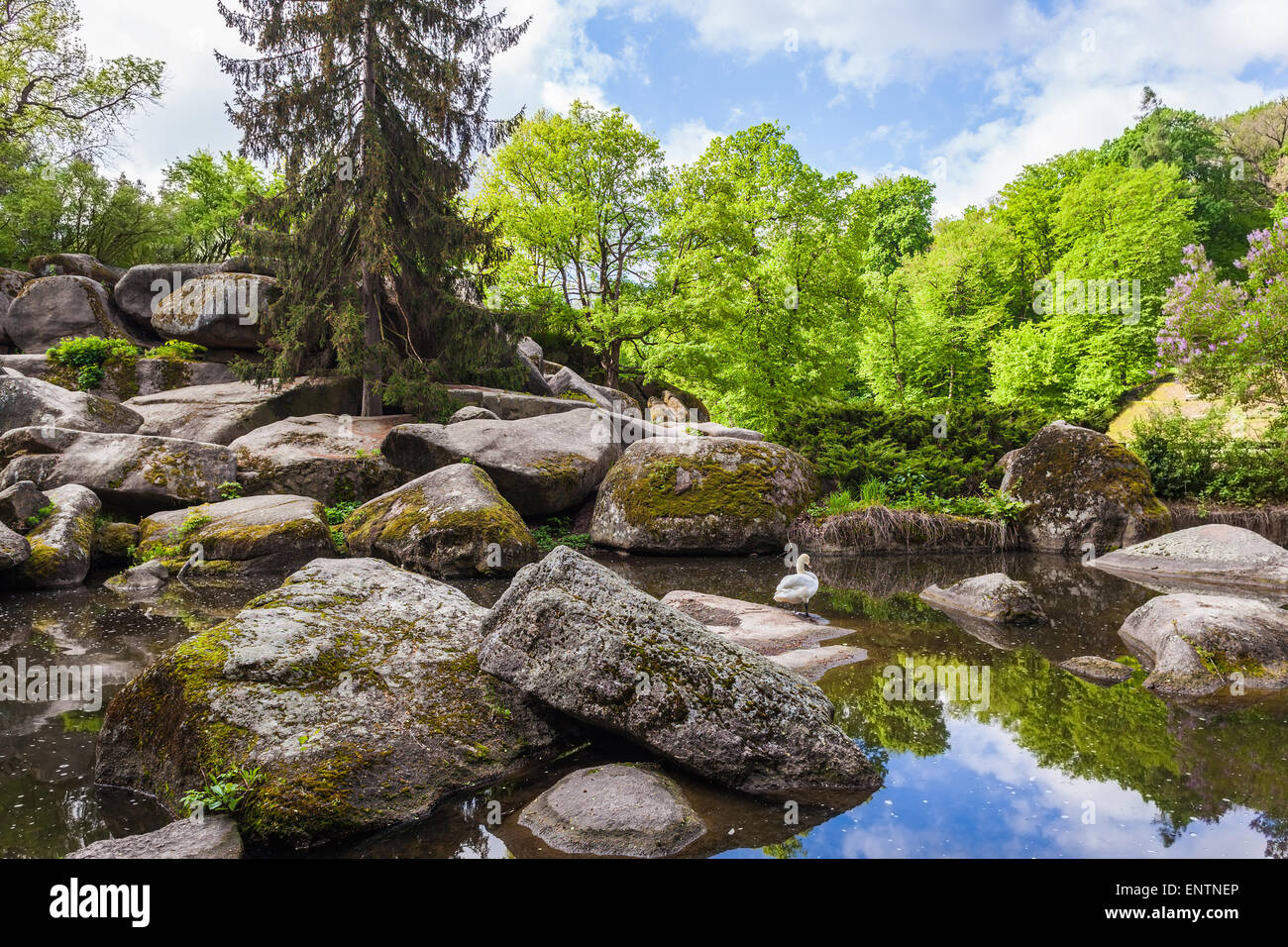 lake with large rocks in the woods Stock Photo - Alamy