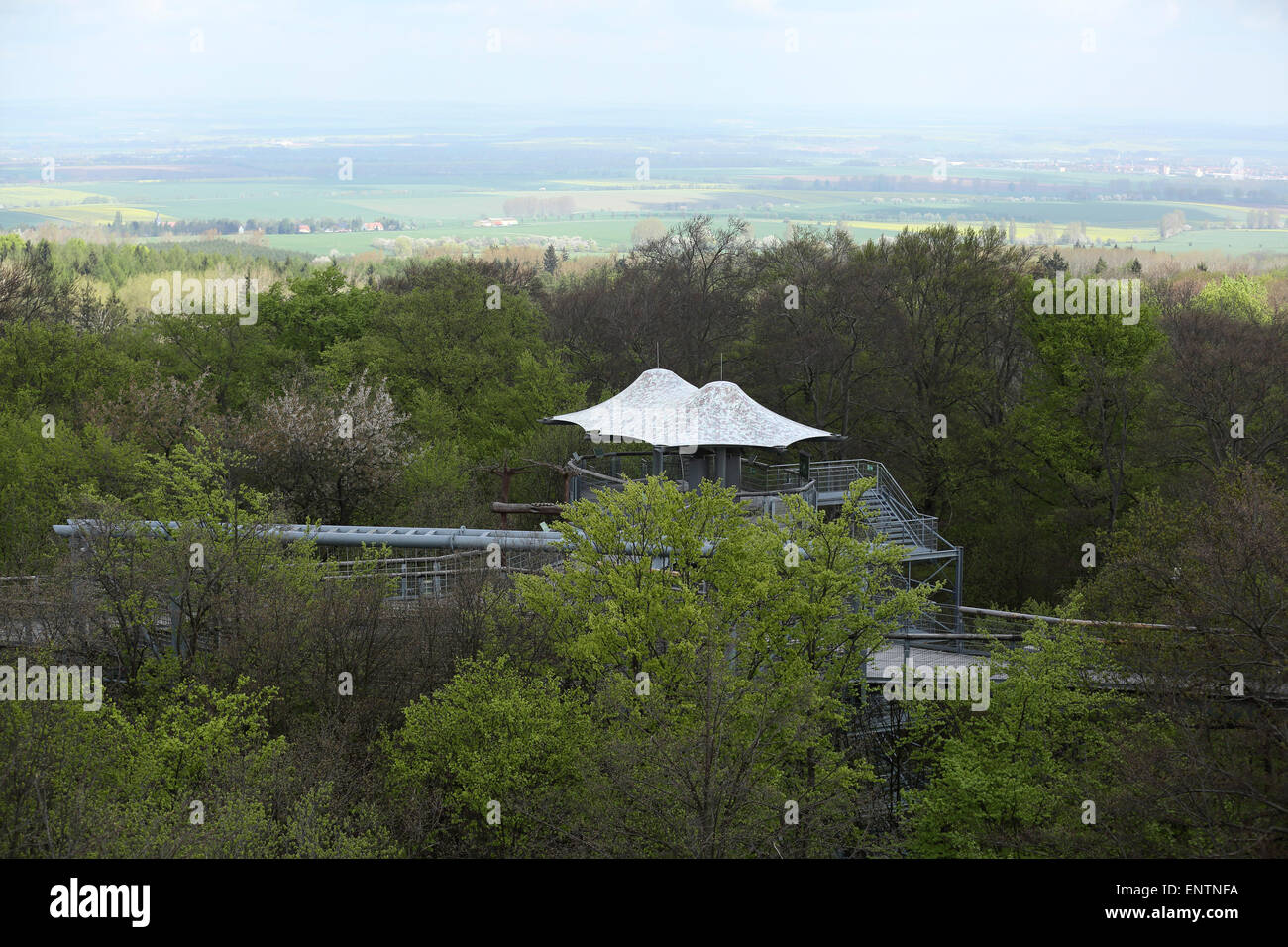 A viewing platform on the canopy walkway (Baumkronenpfad) in Hainich ...