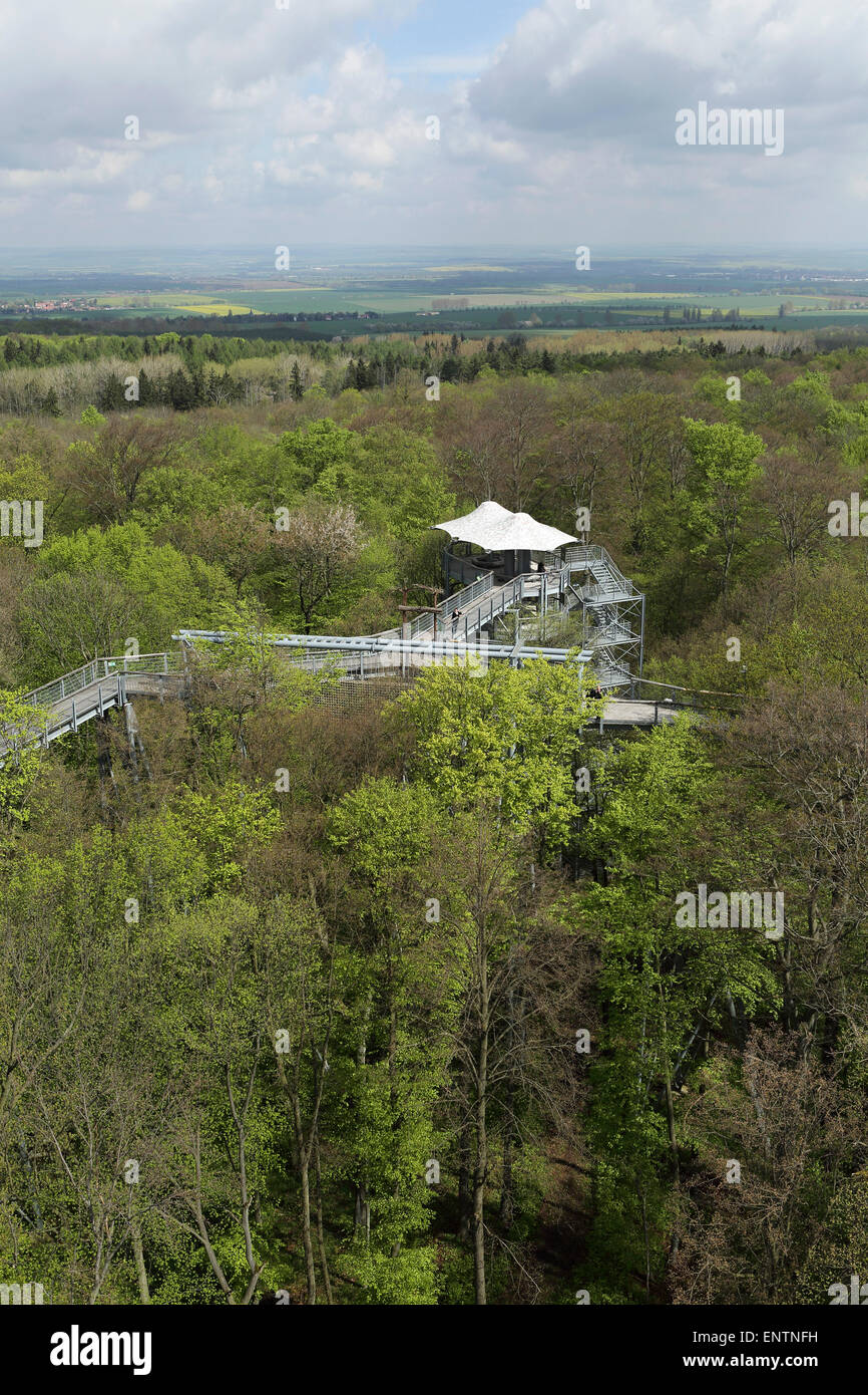 A viewing platform on the canopy walkway (Baumkronenpfad) in Hainich ...