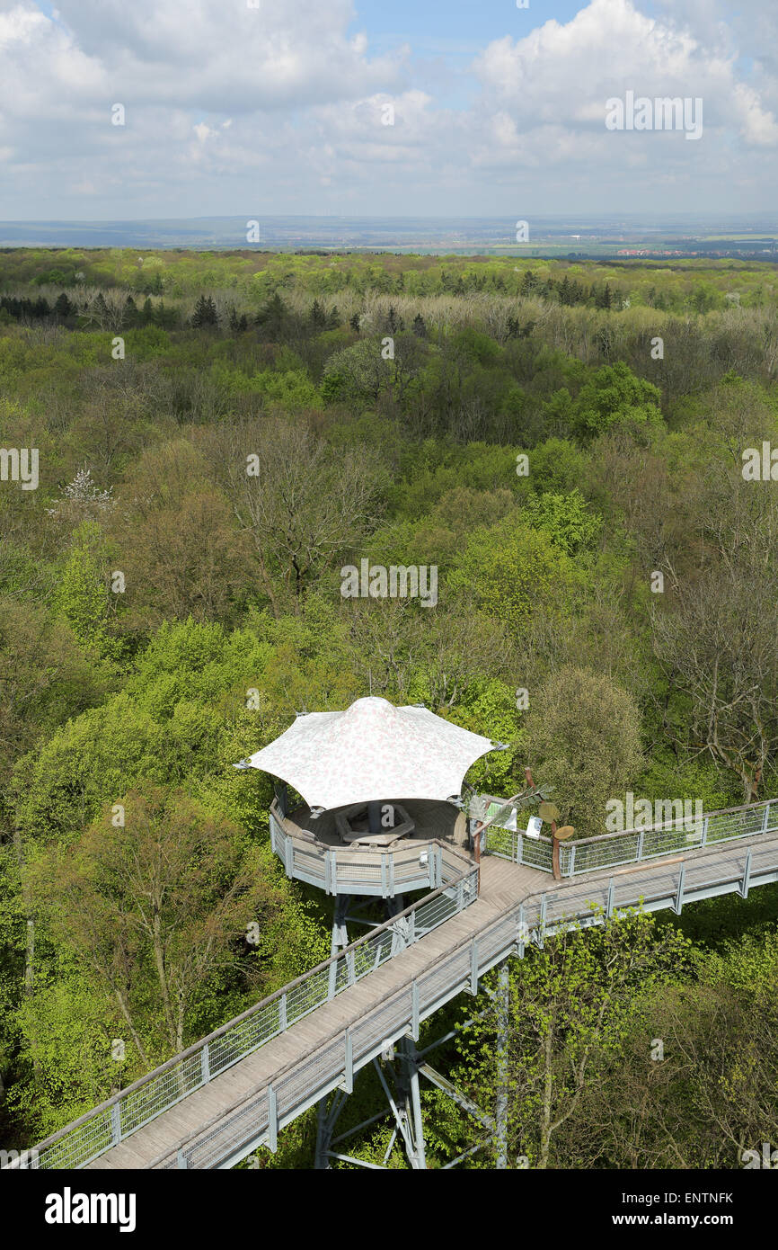 A viewing platform on the canopy walkway (Baumkronenpfad) in Hainich ...