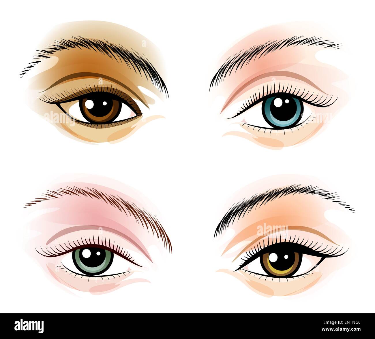 Female eyes set. Various races. Isolated on white background Stock ...