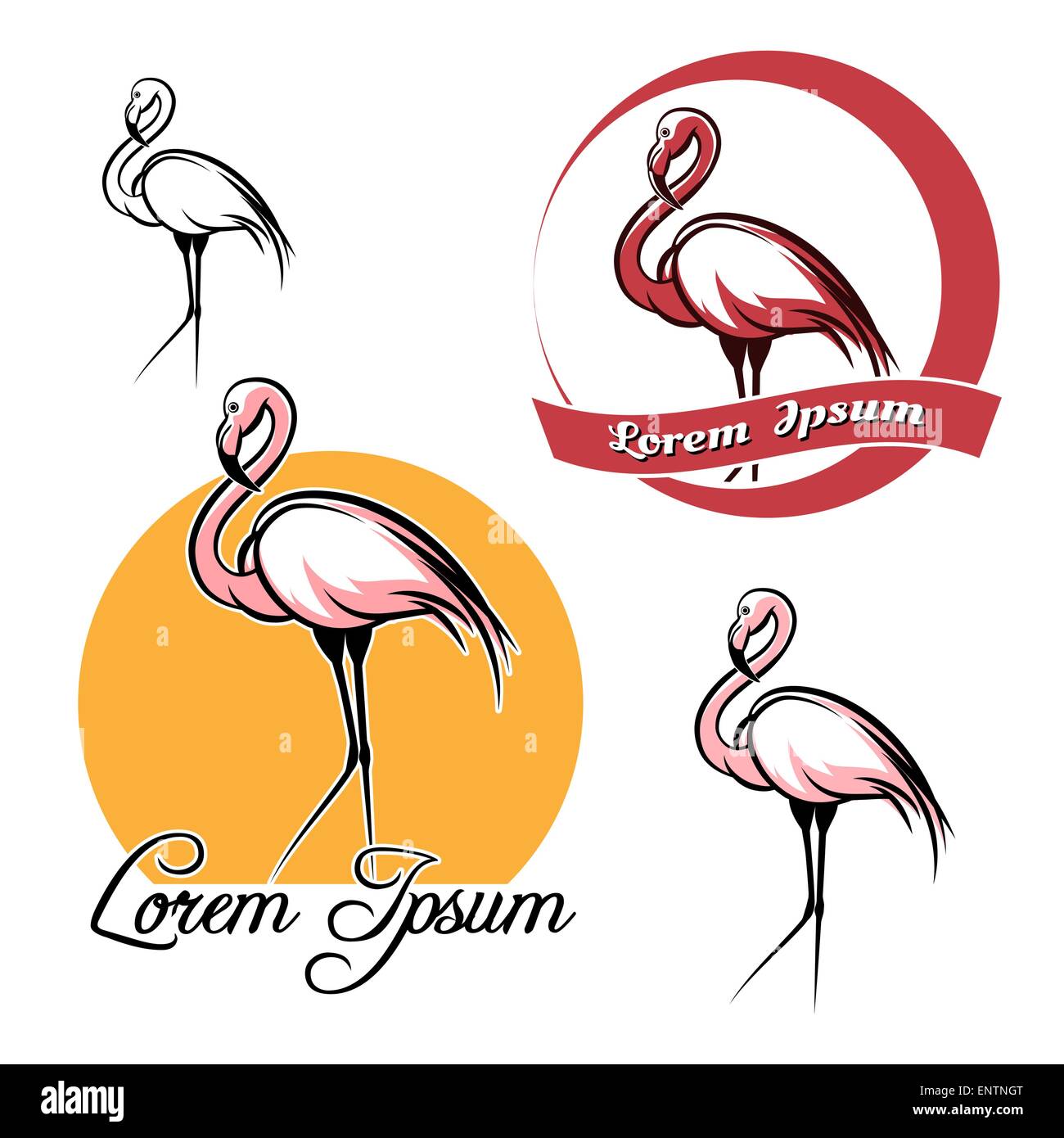 Flamingo Logo Vector Stock Photos & Flamingo Logo Vector Stock Images ...