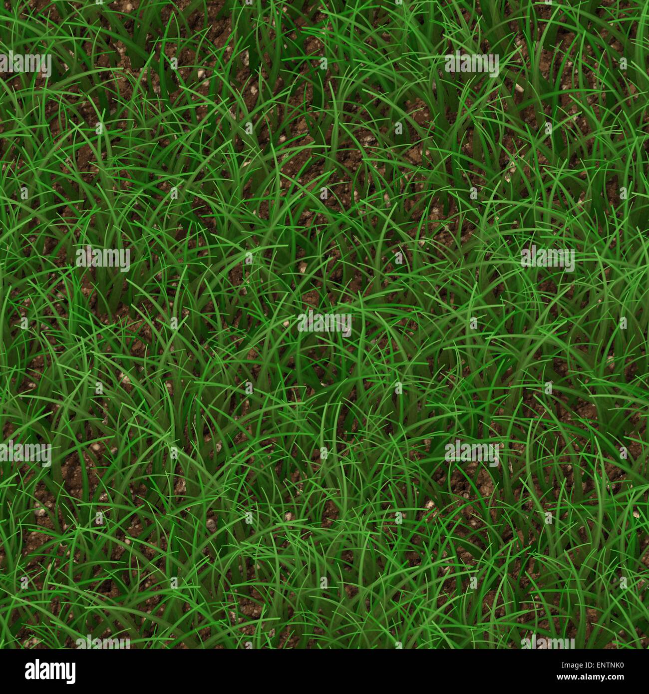 Seamless grass background, It can be used as texture Stock Photo - Alamy