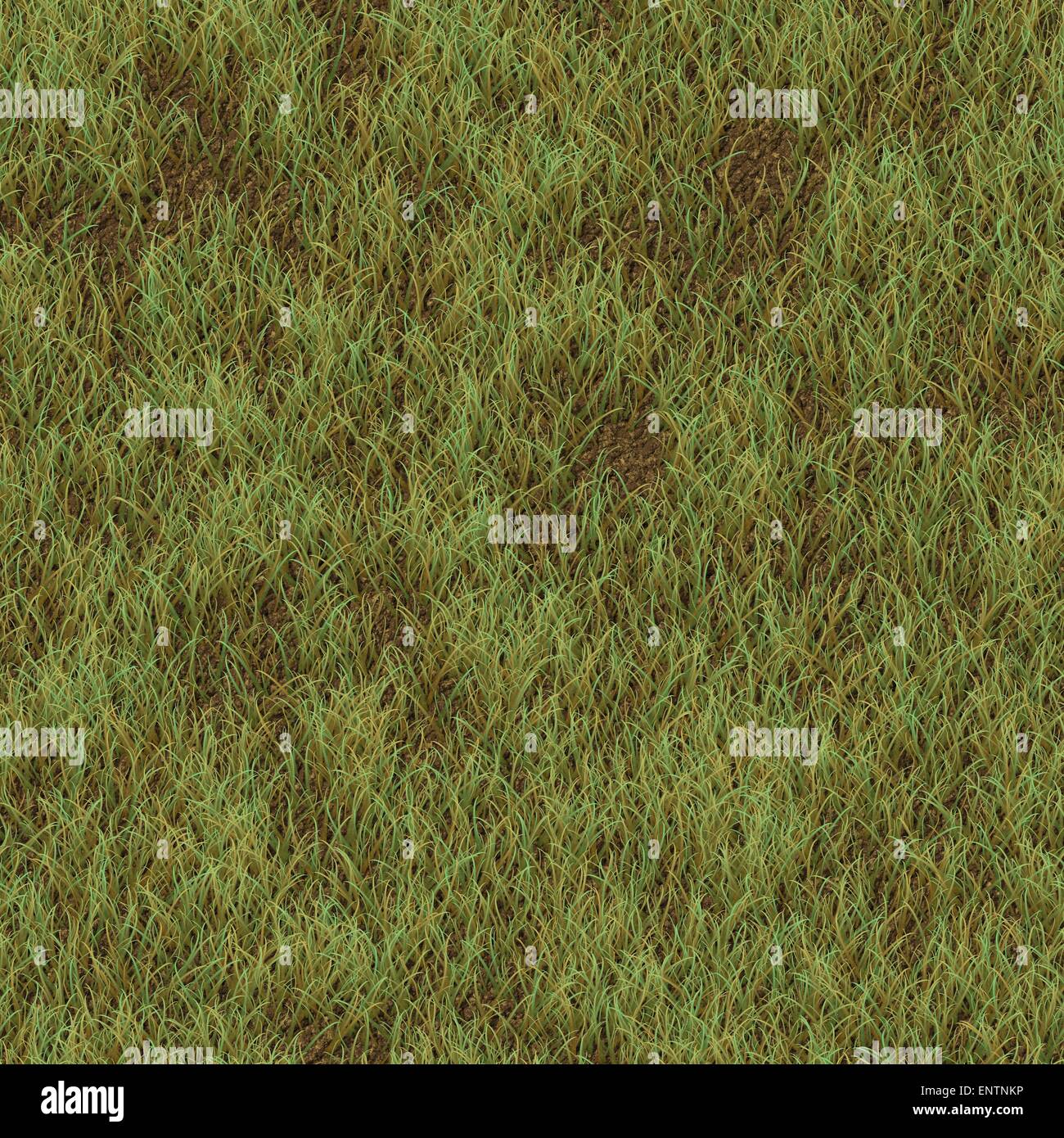 Seamless grass background, It can be used as texture Stock Photo - Alamy