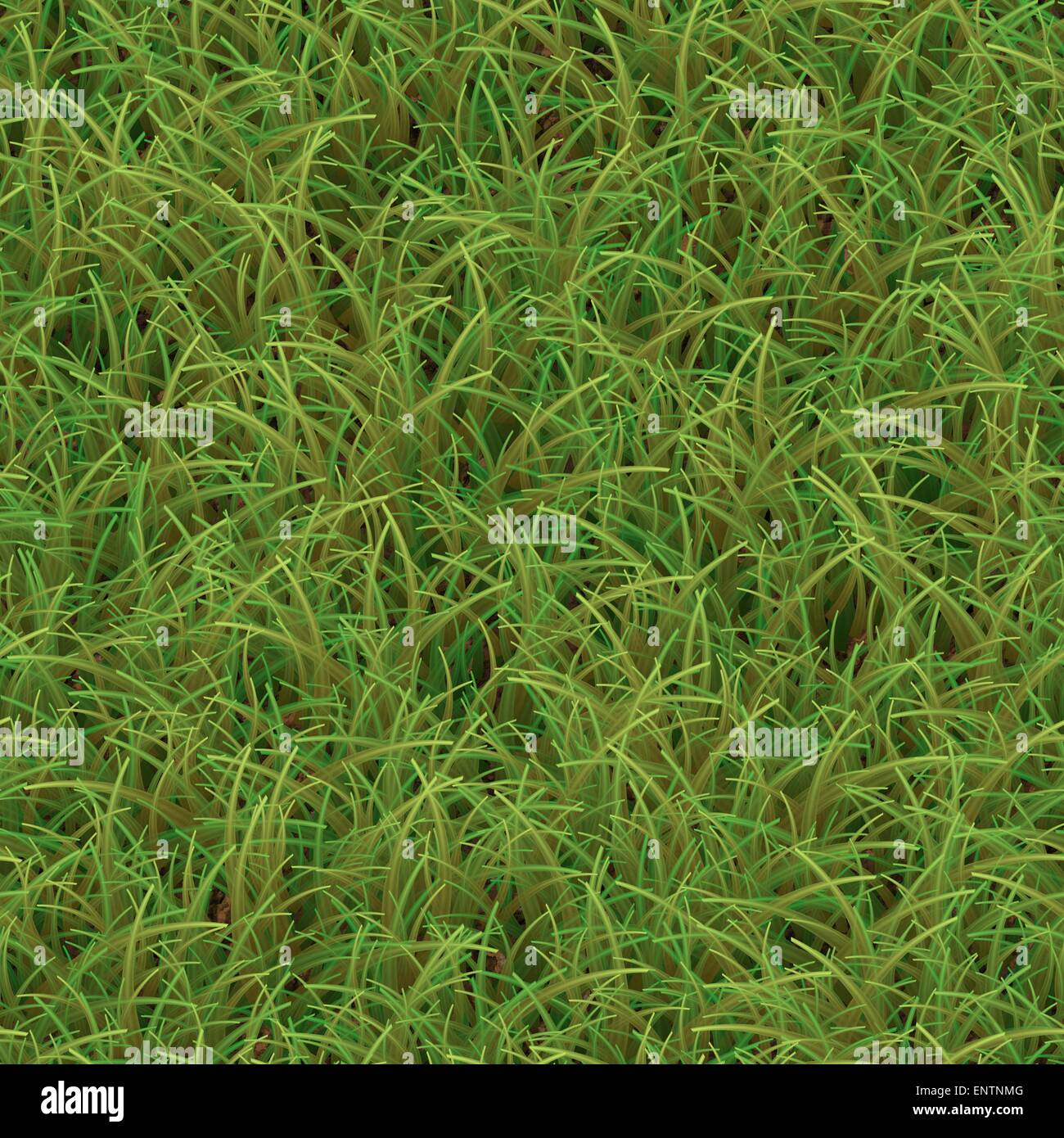 Seamless grass background, It can be used as texture Stock Photo - Alamy