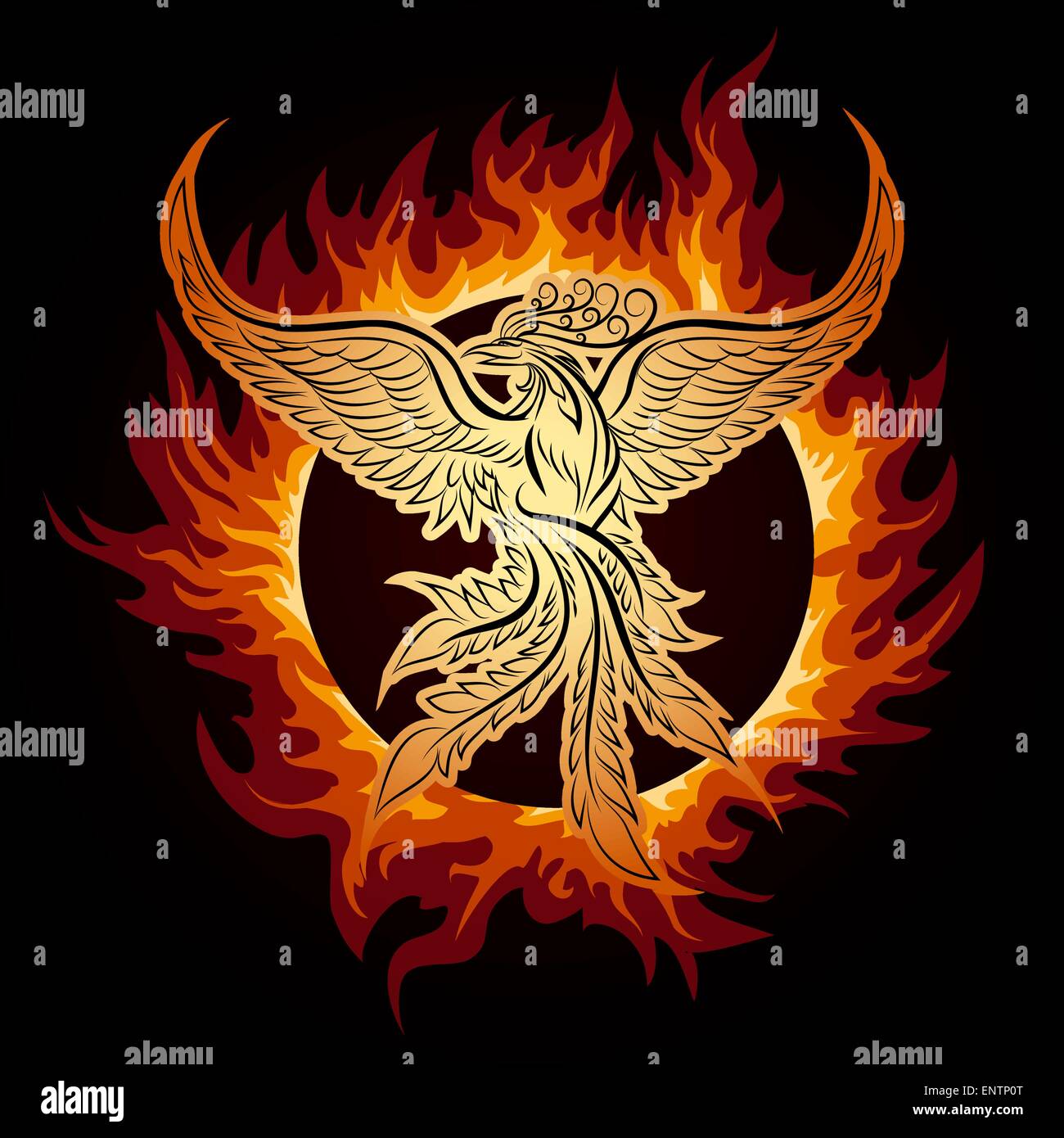 The Phoenix flying in ring of fire Stock Vector Image & Art - Alamy