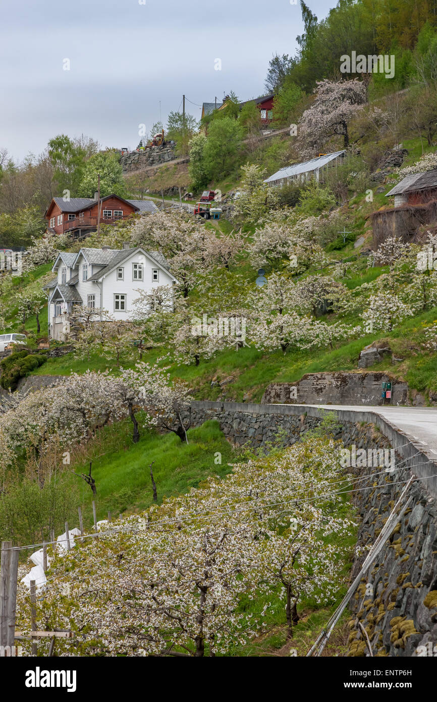 Landscape with mountains. village in Norwegian fjords Stock Photo - Alamy