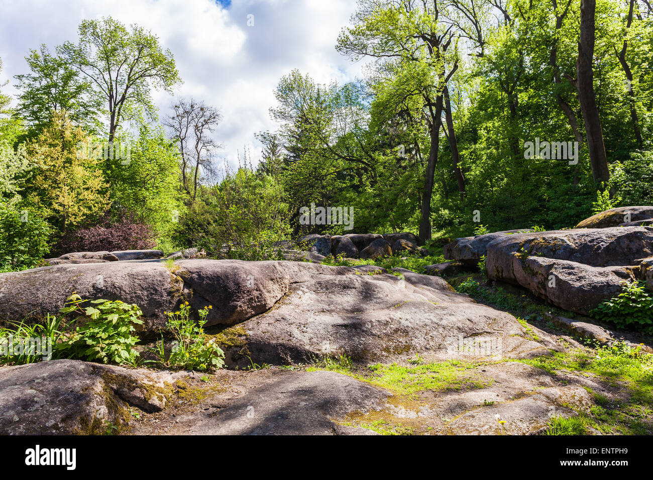 Large boulders and trees hi-res stock photography and images - Alamy