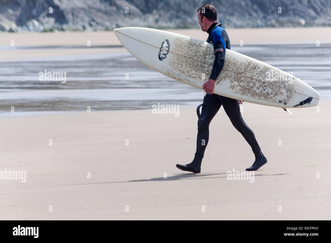 Surfer carrying surf board walking on sandy beach at Whitesands Bay ...