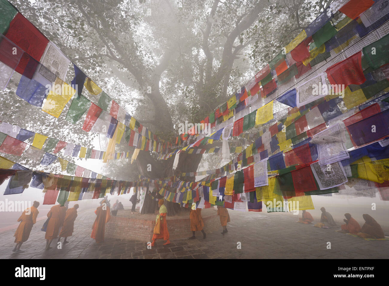 Lumbini, Nepal — the place of the Buddha's birth Stock Photo - Alamy