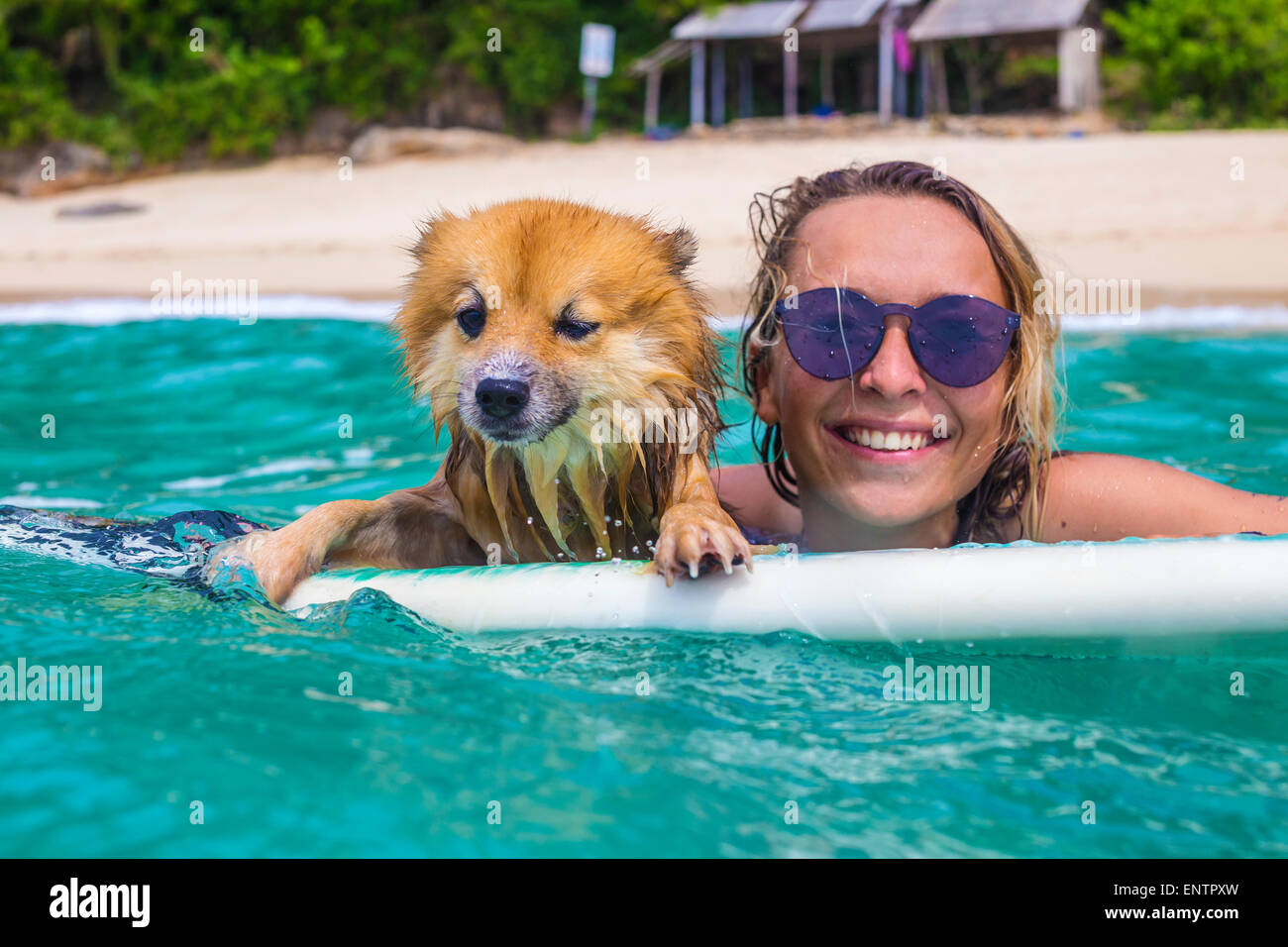 Funny ocean hi-res stock photography and images - Alamy