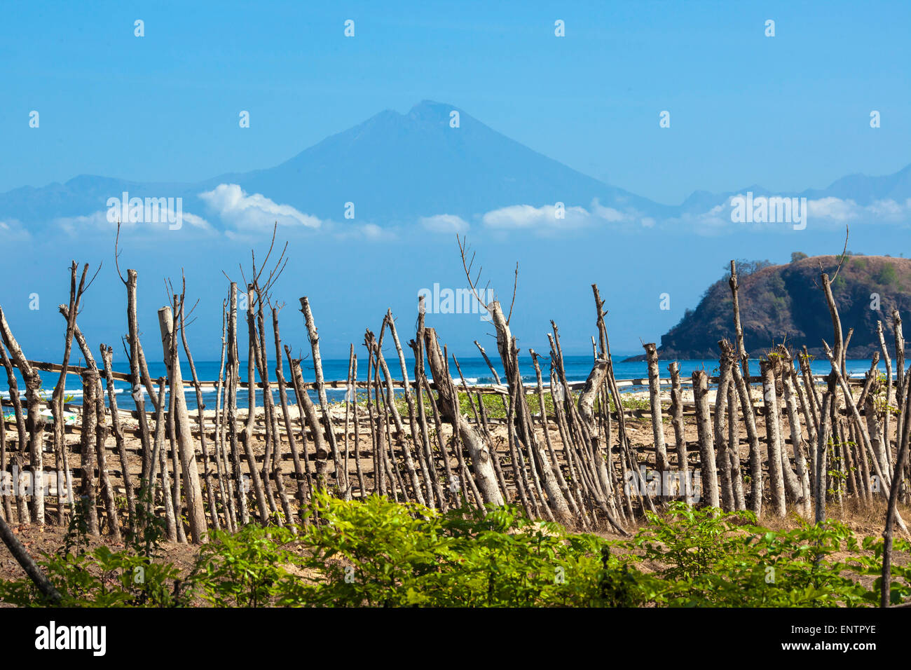 Volcano Rinjani, Indonesia, Lombok island. View from Sumbawa island ...
