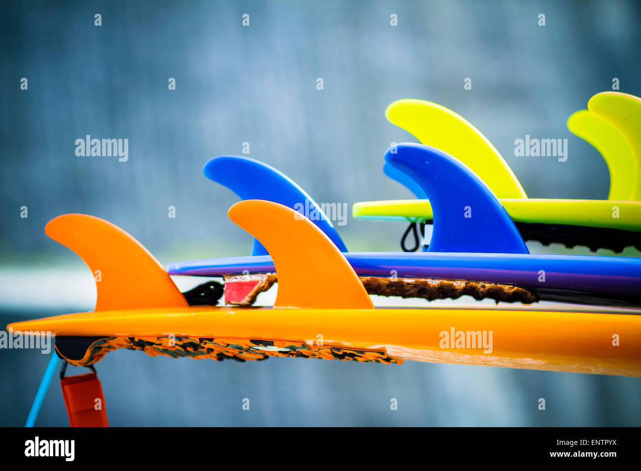 Colorful surfboards hi-res stock photography and images - Alamy