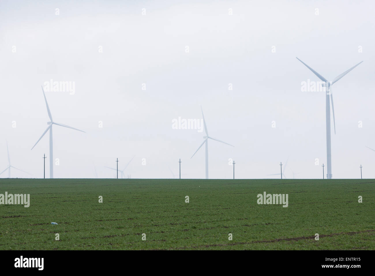 A green field and the wind turbines from Europe's largest wind farm ...