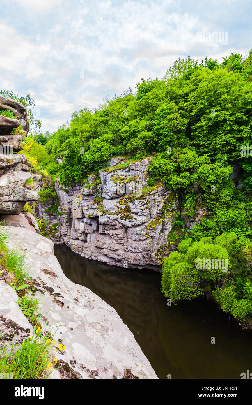 River flowing between rocks where the forest grows Stock Photo - Alamy